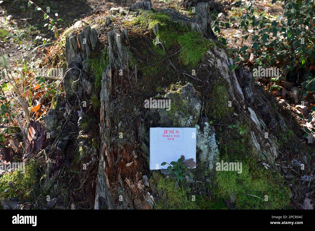 Autumn colours in Hogsback, South Africa Stock Photo - Alamy