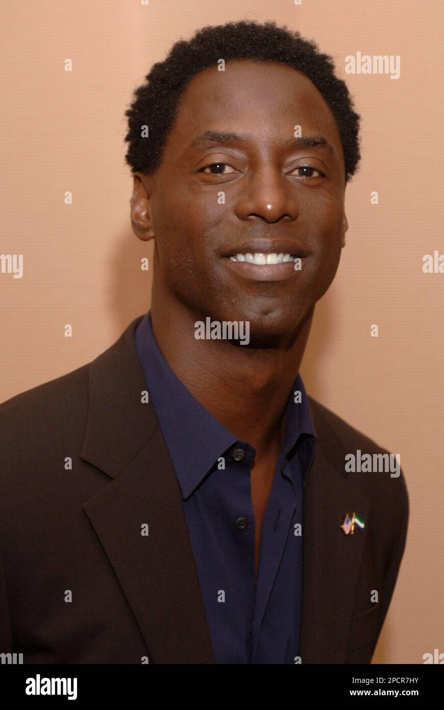Actor Isaiah Washington attends the 22nd Annual Television Critics ...