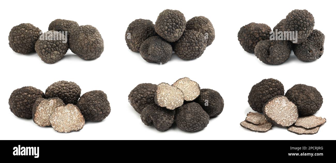 Set with expensive delicious black truffles on white background. Banner ...