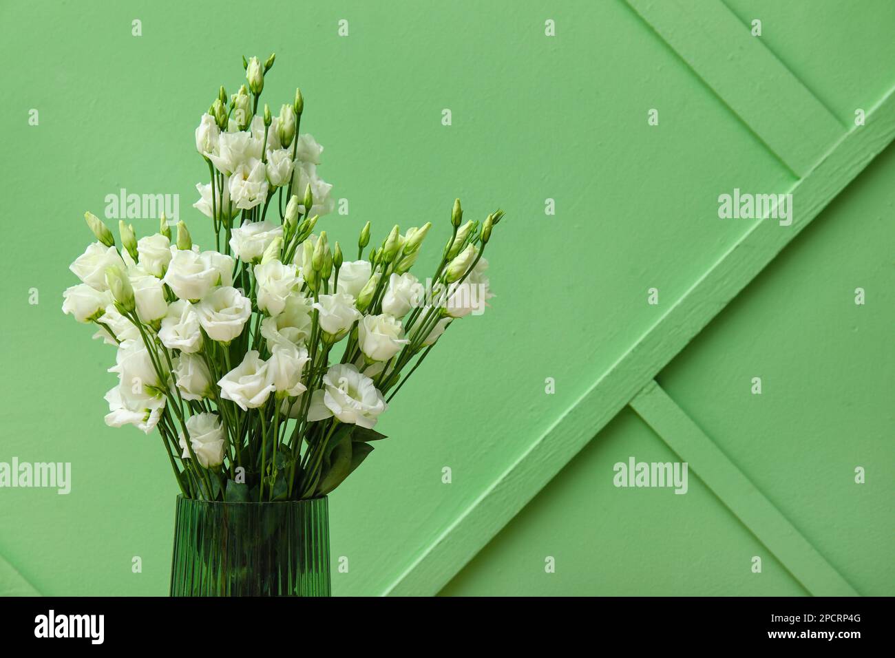 Vase with beautiful eustoma flowers near green wall Stock Photo - Alamy