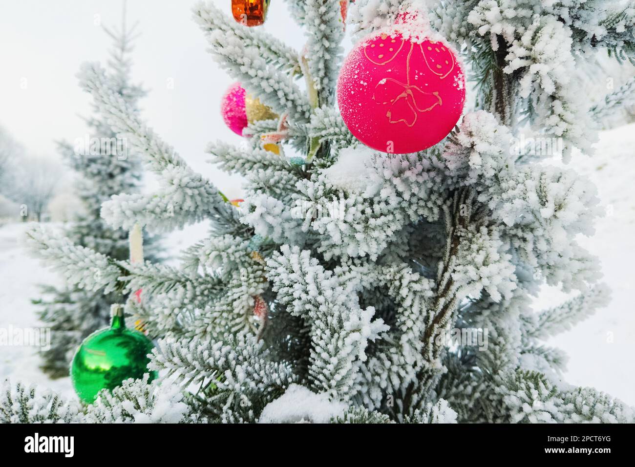 Christmas tree on street close hi-res stock photography and images - Alamy