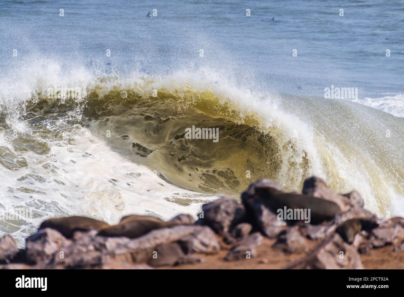 A giant wave breaking at the cape cross seal colony area in Namibia ...