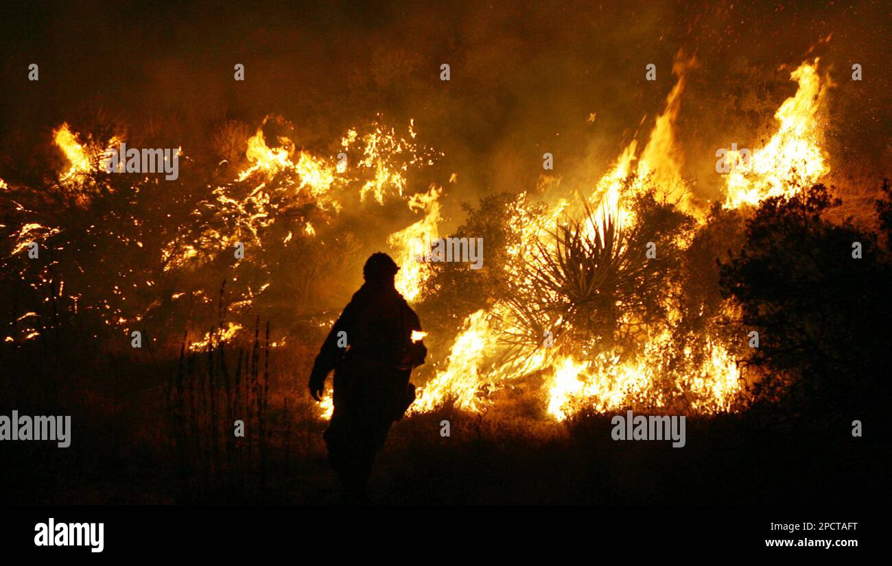 Inmate fire crew member Matthew Gore from the Fenner Canyon ...