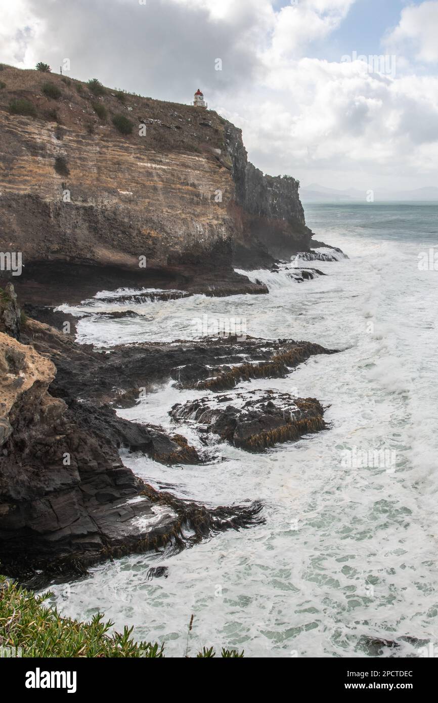The cliffs at Taiaroa Head at the end of the Otago peninsula in New ...