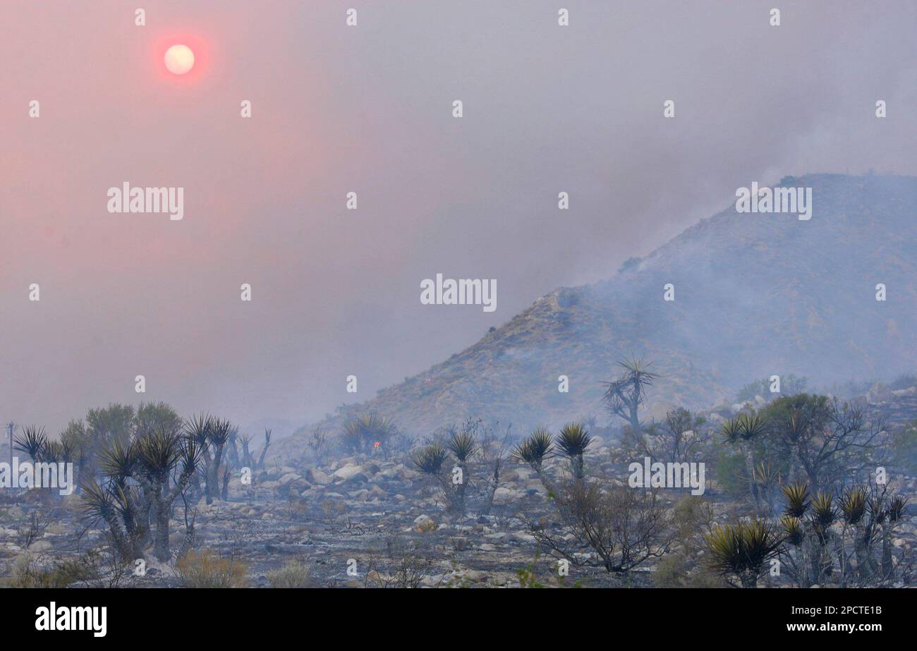 The charred remains of vegetation can be seen after the Sawtooth ...
