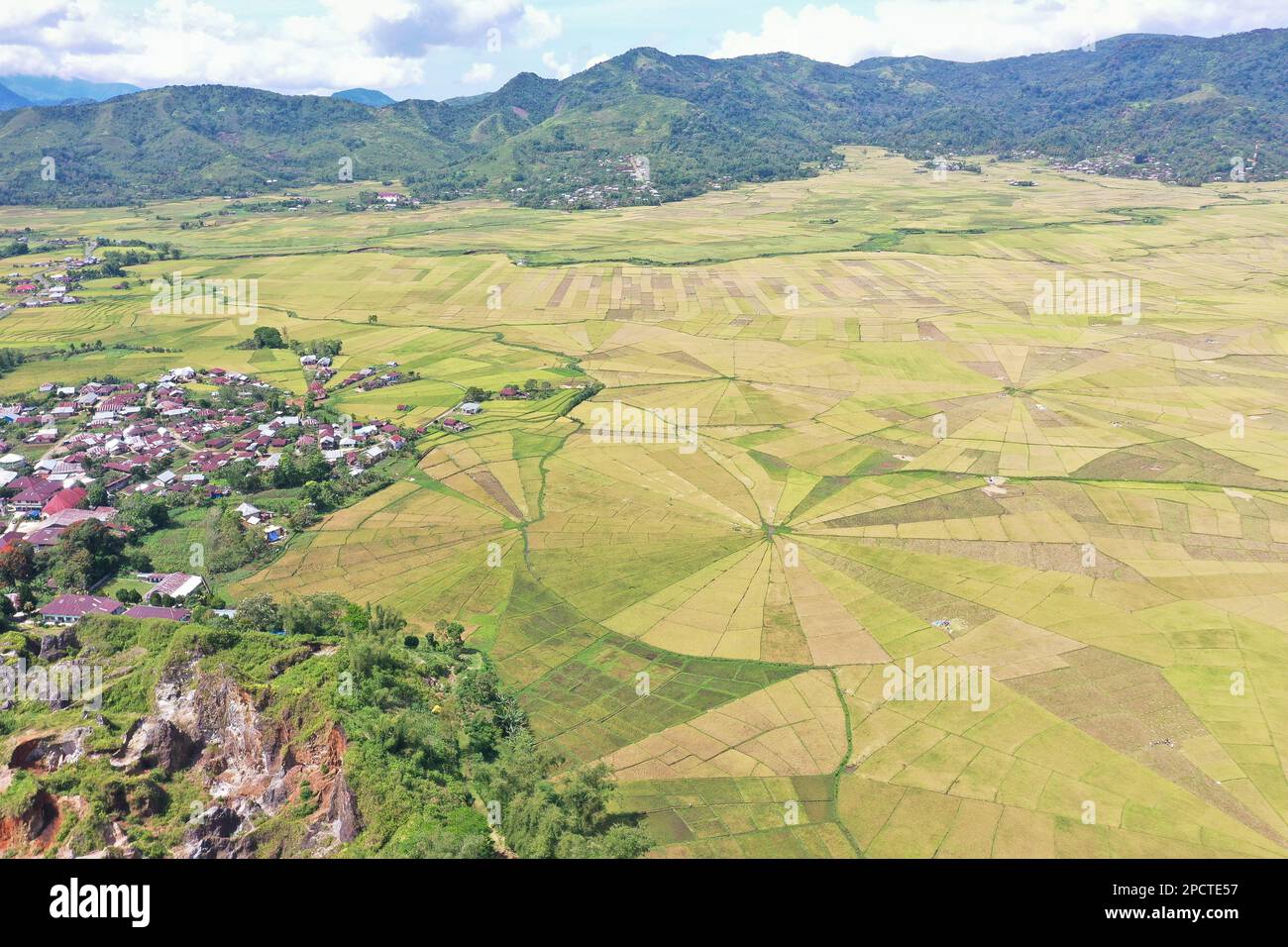 Rainforest food web hi-res stock photography and images - Alamy