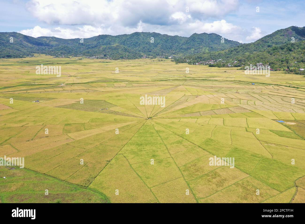 Rainforest food web hi-res stock photography and images - Alamy