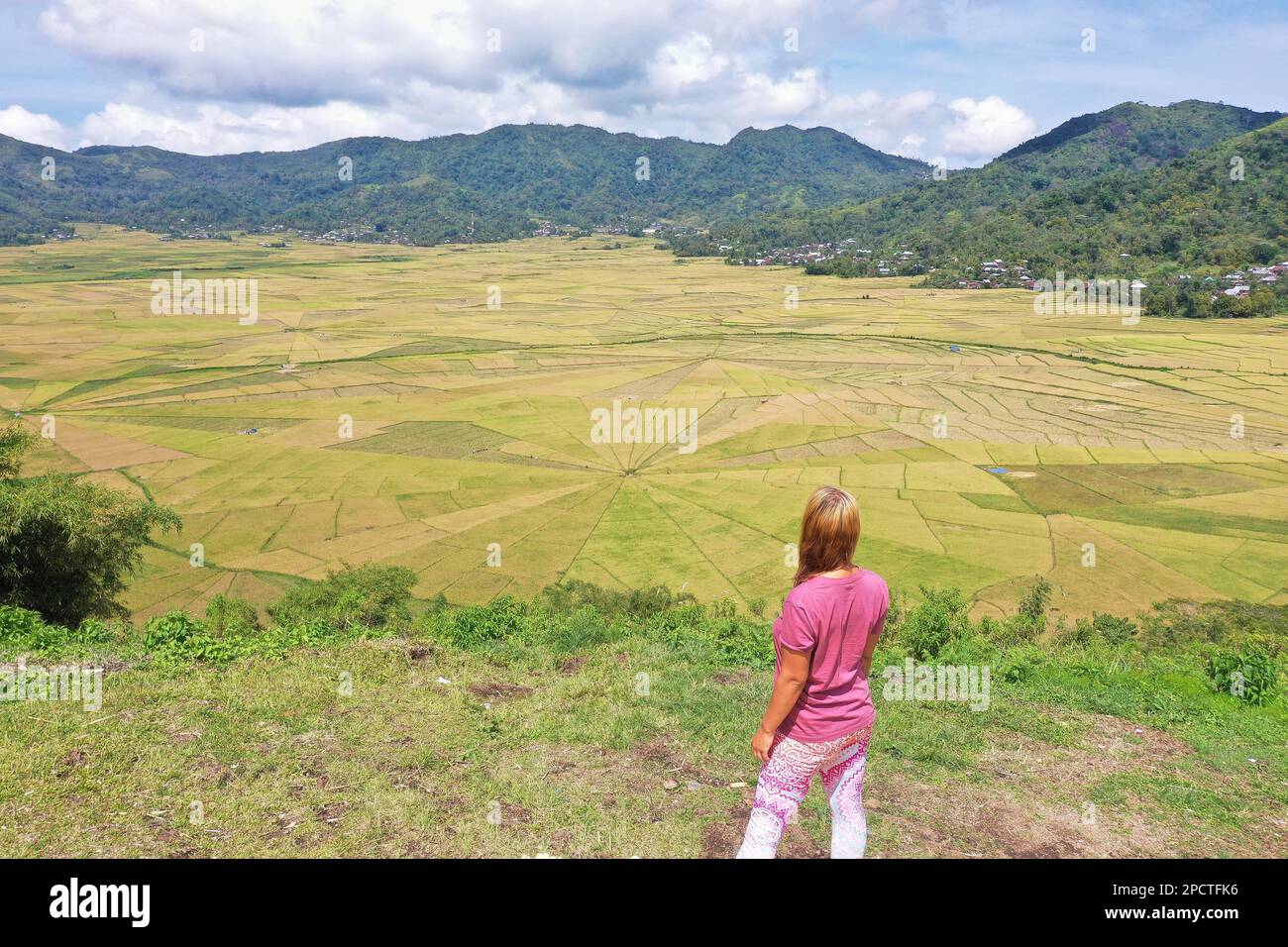 Rainforest food web hi-res stock photography and images - Alamy