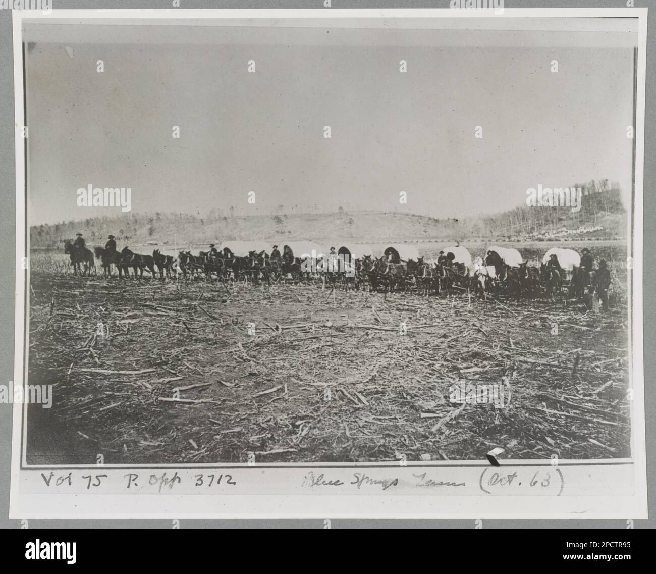 Mosheim tenn hi-res stock photography and images - Alamy