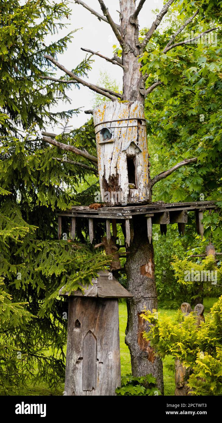 Bee deck on a tree in the forest. The ancient method of beekeeping ...