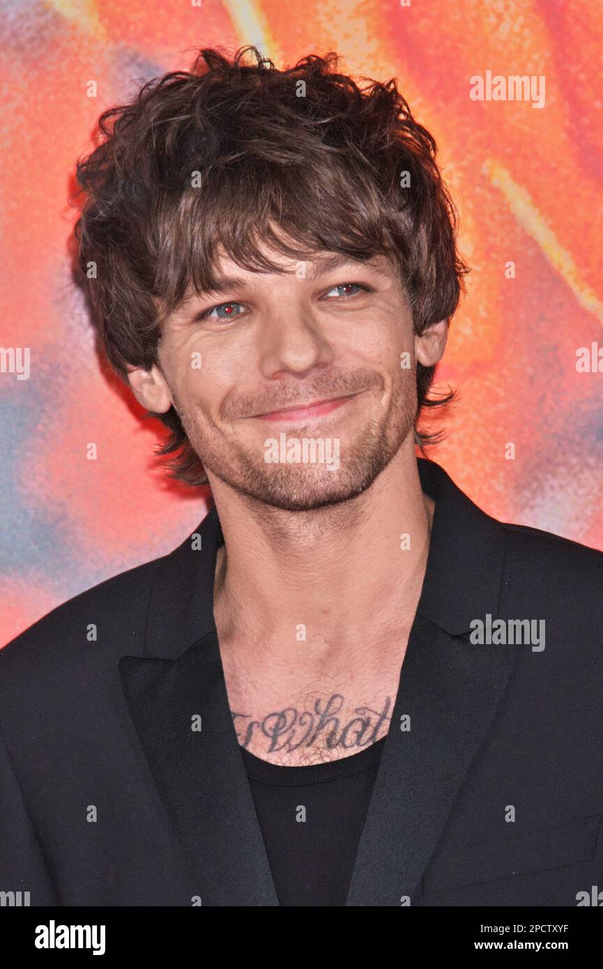 Singer Louis Tomlinson attends the Japan premiere for "All of Those ...