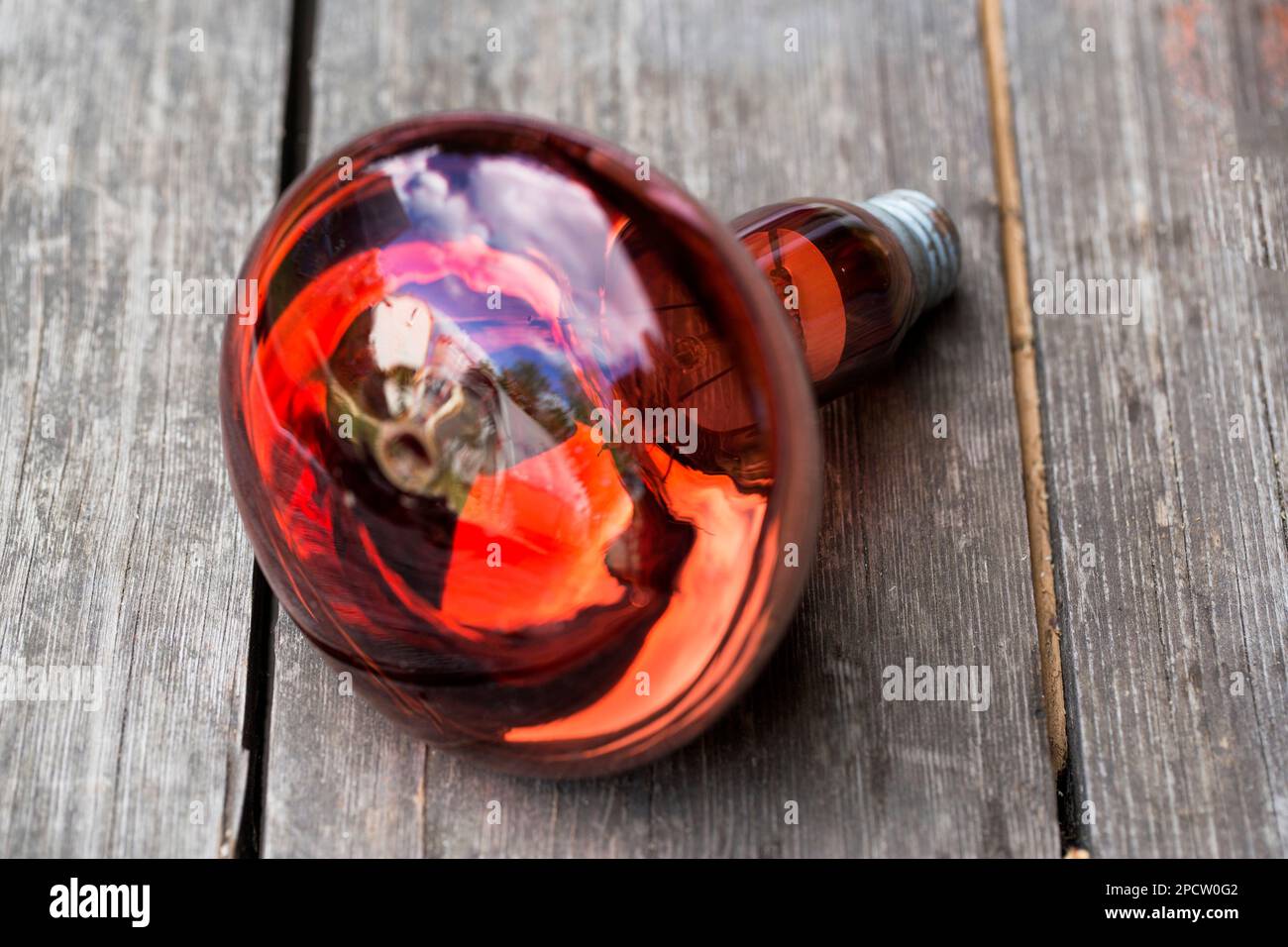 A red large lamp that radiates heat for animals and birds. Wooden ...