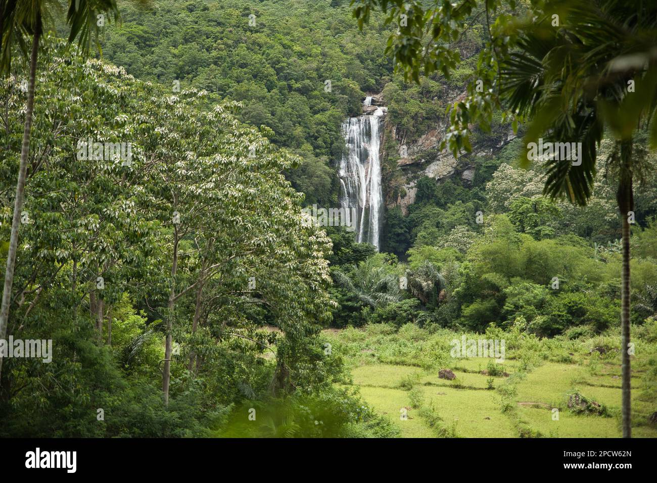 The spectacular Cunca Rami waterfall on Flores from afar, surrounded by ...