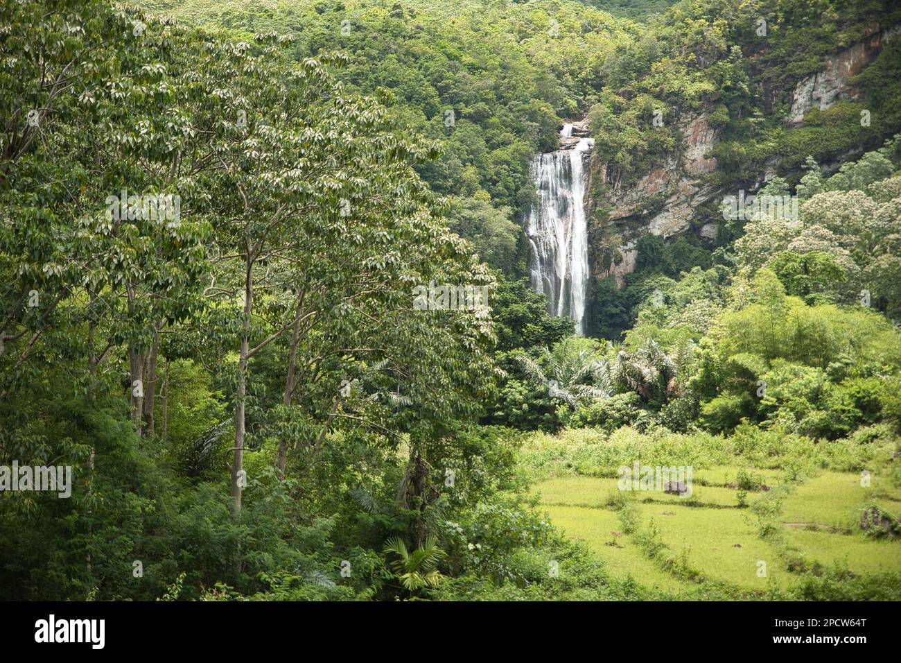 The spectacular Cunca Rami waterfall on Flores from afar, surrounded by ...