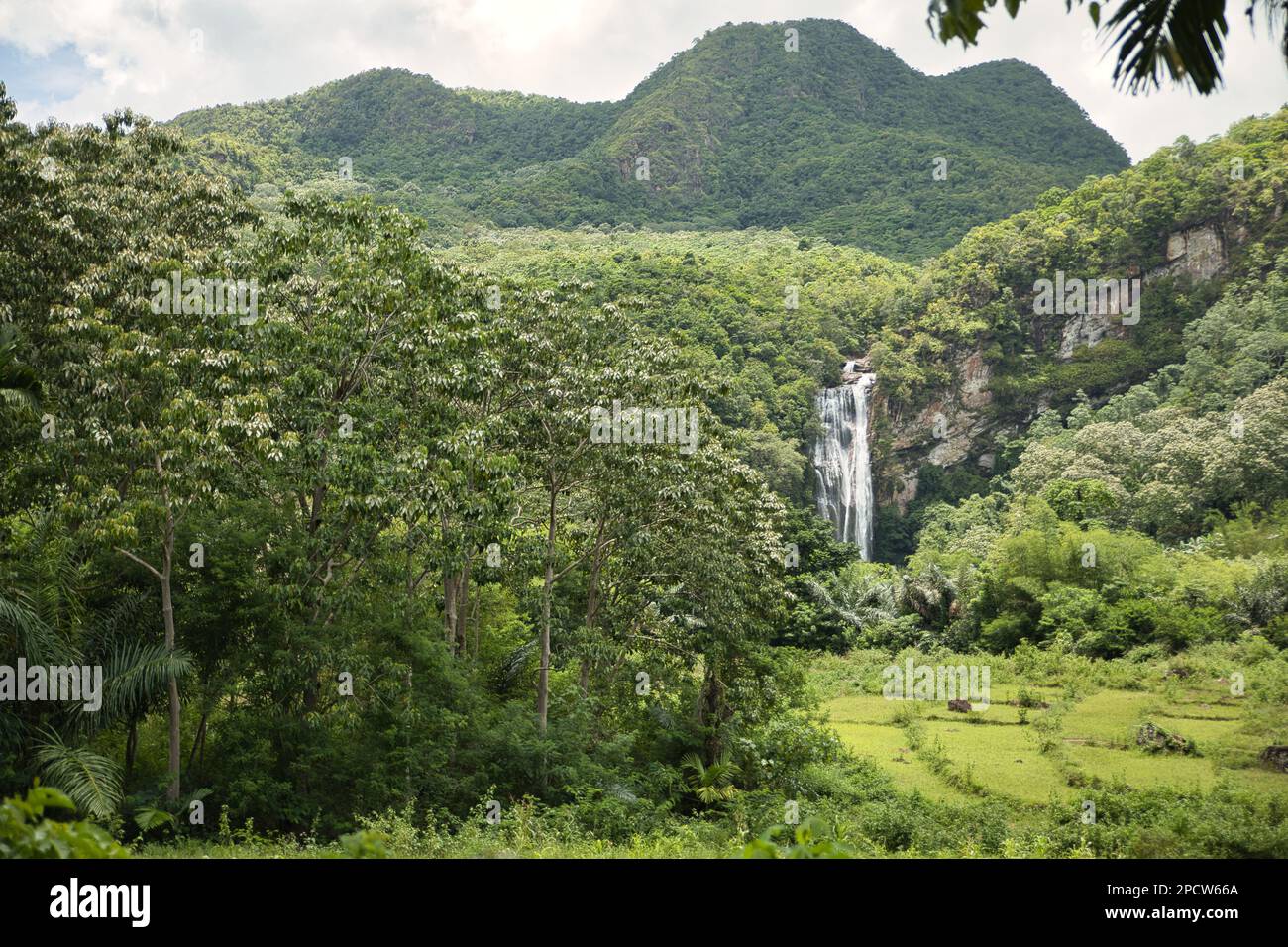 The spectacular Cunca Rami waterfall on Flores from afar, surrounded by ...
