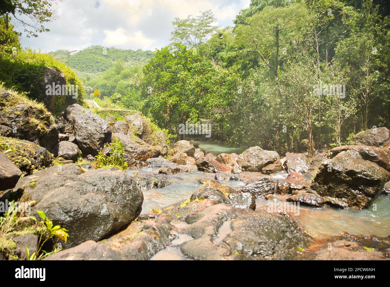 Idyllic shot of a water stream with rocks inside, surrounded by sunlit ...