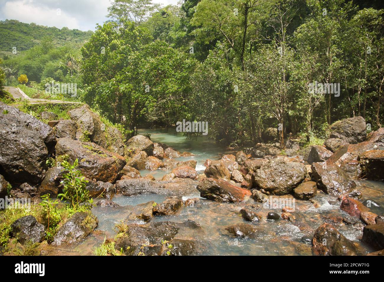Idyllic shot of a water stream with rocks inside, surrounded by sunlit ...