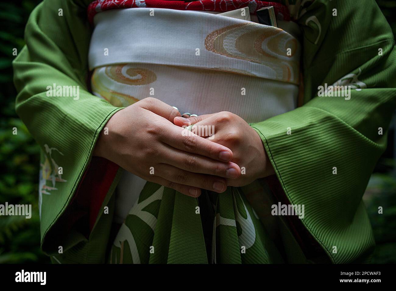 Detail of 'maiko' (geisha apprentice) from Ishihatsu tea house (o-chaia ...