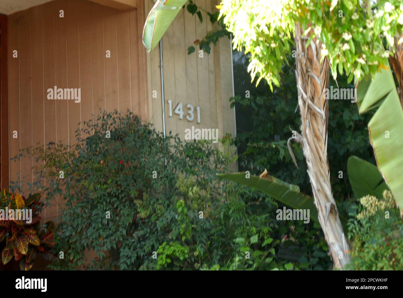 Los Angeles, California, USA 13th March 2023 A general view of ...