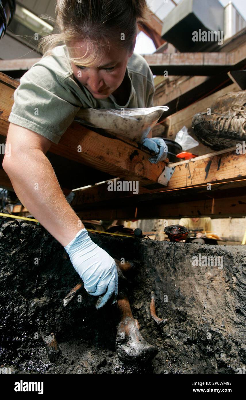 Volunteer excavator Elissa Wall removes tar from the upper and lower ...
