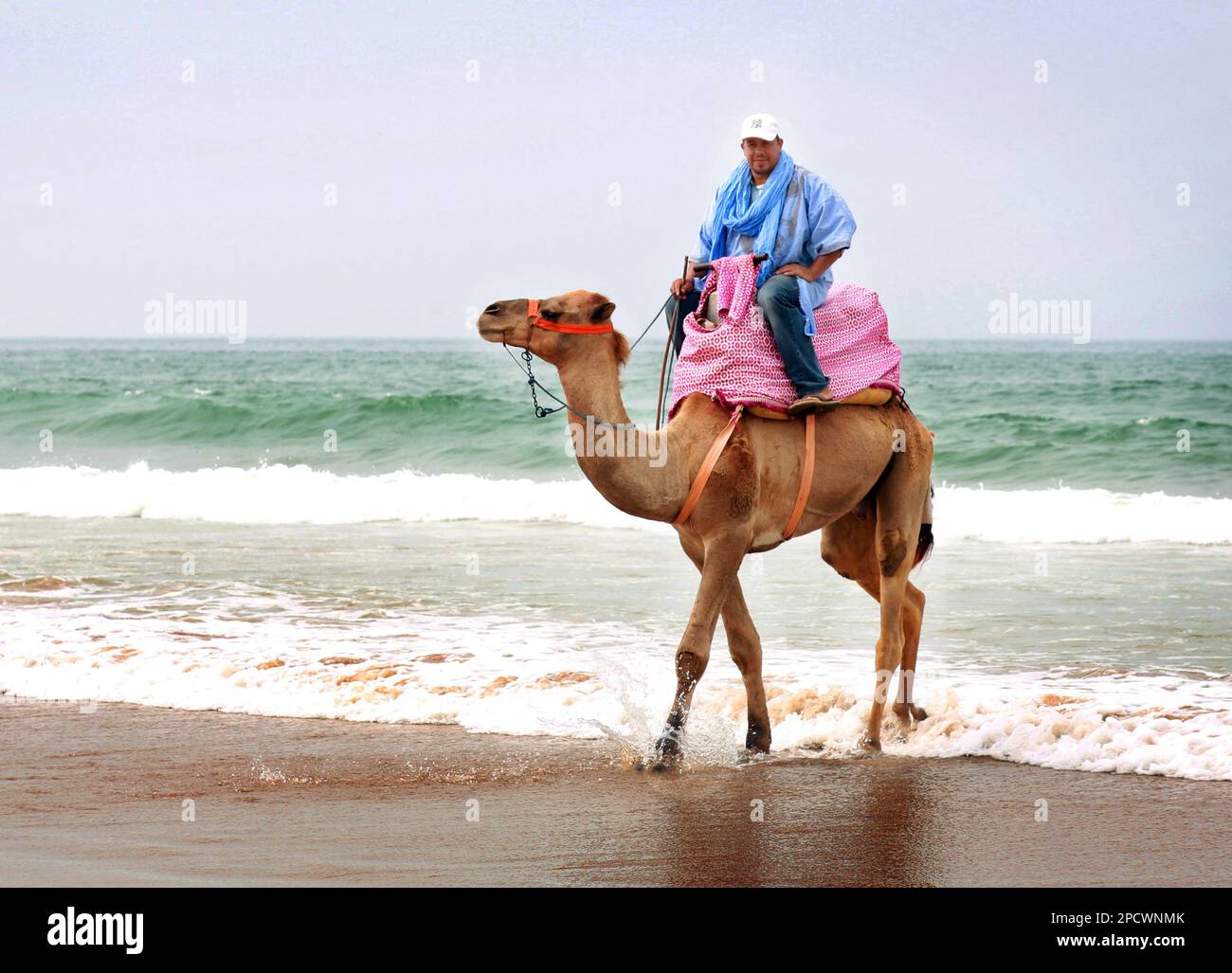 Man riding a camel on the beach Stock Photo - Alamy