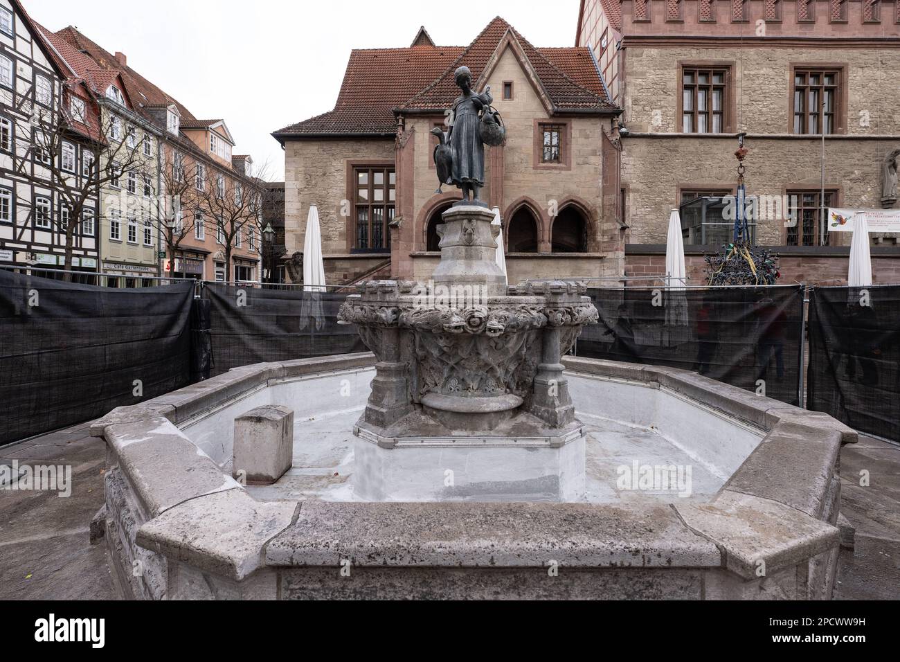 14 March 2023, Lower Saxony, Göttingen: View of the enclosed ...