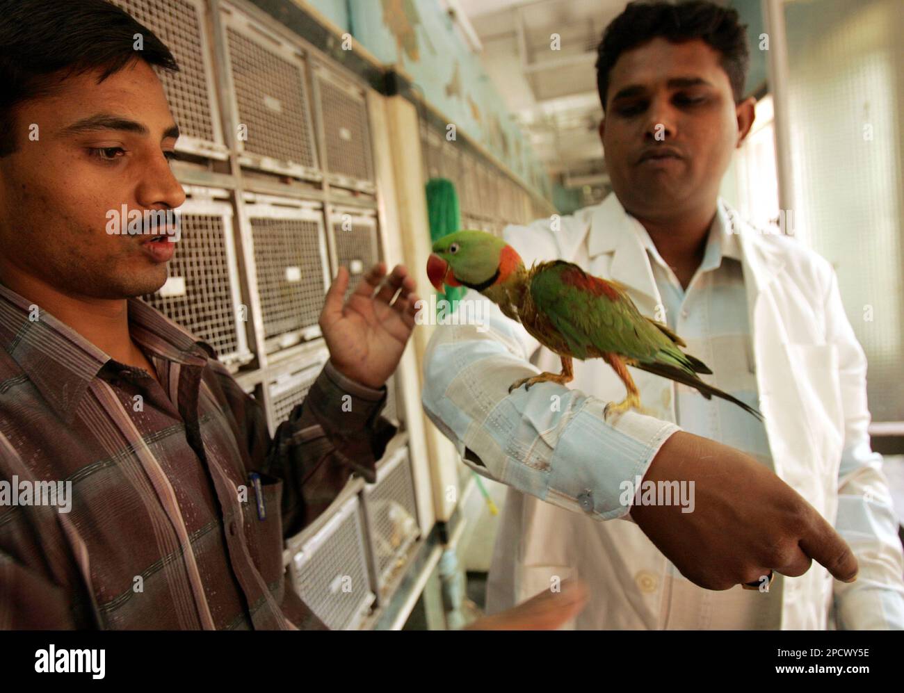 A Veterinary doctor,right, along with his atendent play with a ailing ...