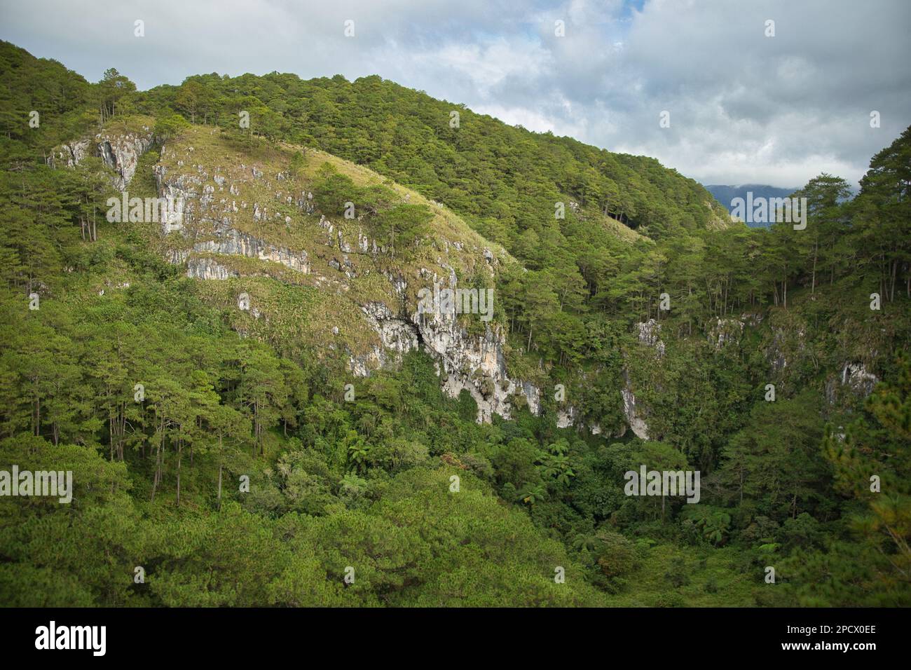 Panoramic view over the forest in Sagada, Philippines, with white rocks ...