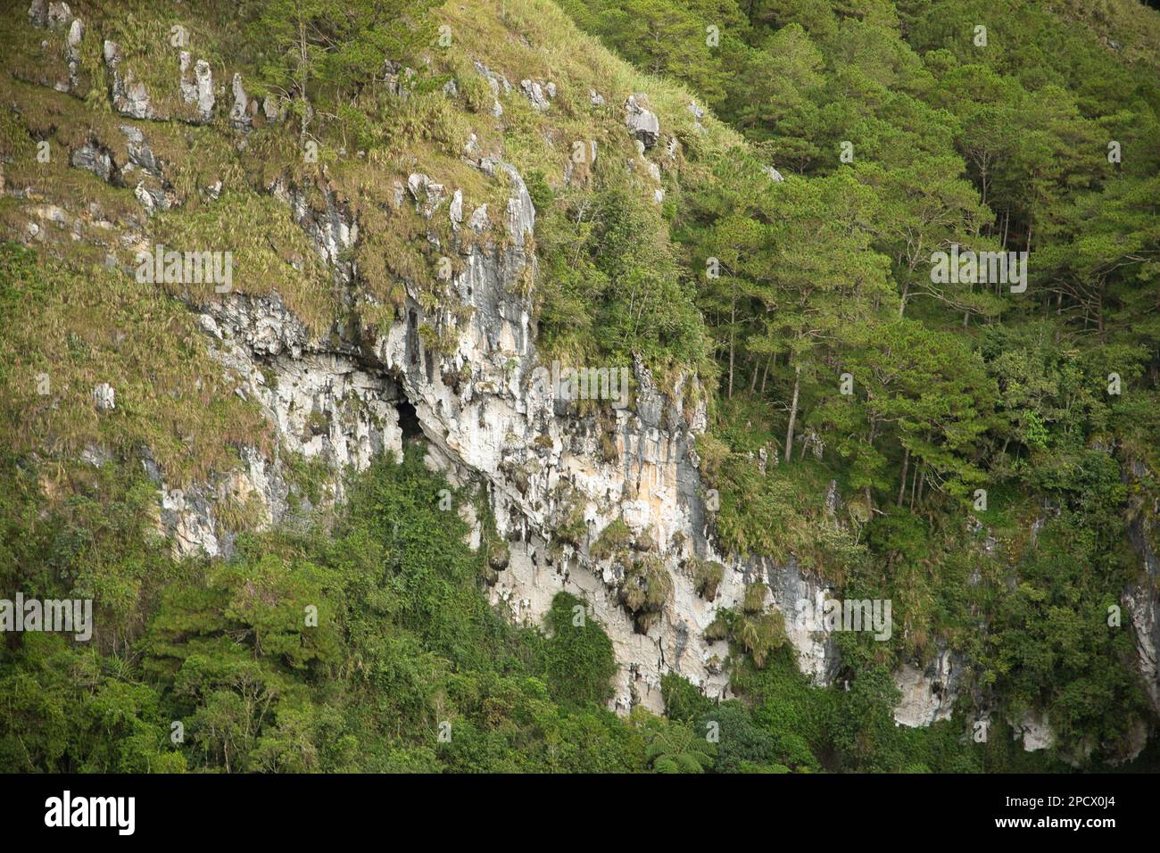 Panoramic view over the forest in Sagada, Philippines, with white rocks ...