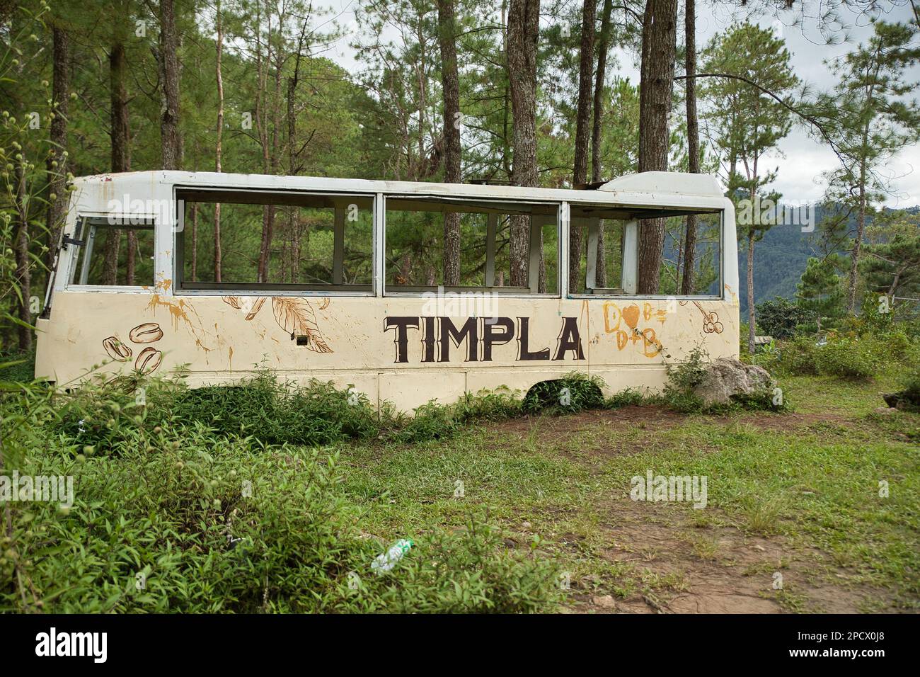 An abandoned bus in a forest in Sagada, Philippines Stock Photo - Alamy