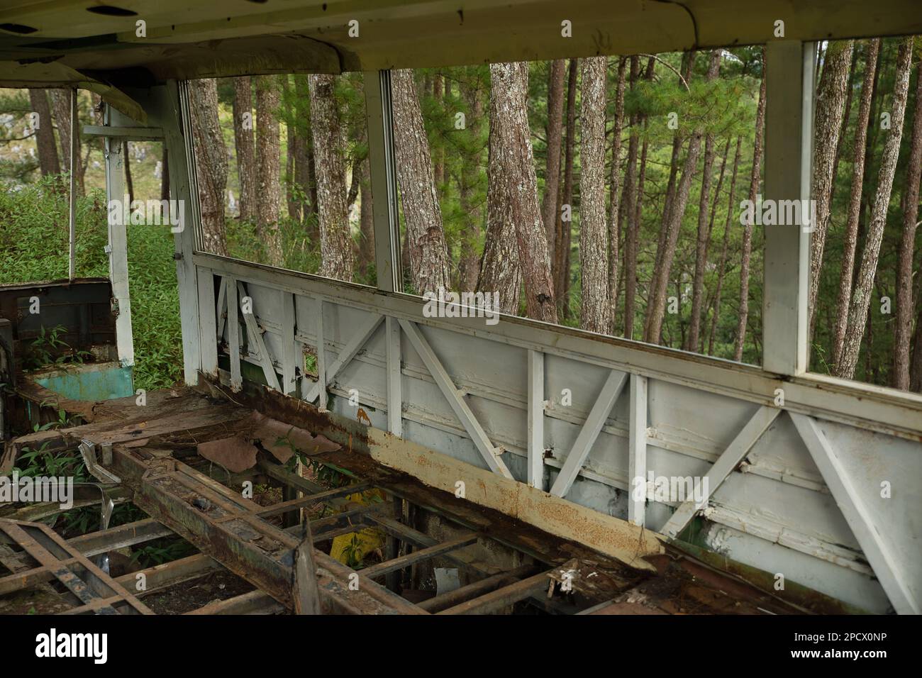 An abandoned bus from inside a forest in Sagada, Philippines Stock ...