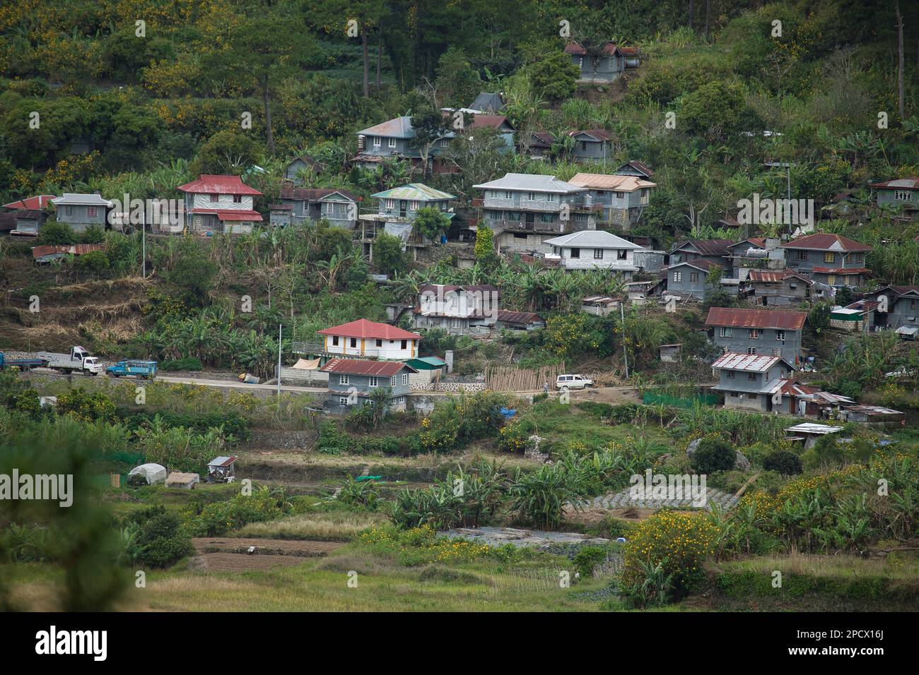 View of a settlement surrounded by forest in Sagada, Philippines Stock ...