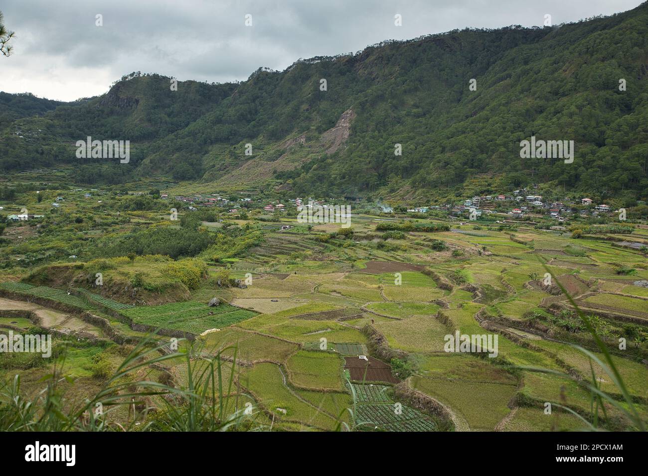 Panoramic view over rice fields and huts in Sagada, Philippines, in the ...