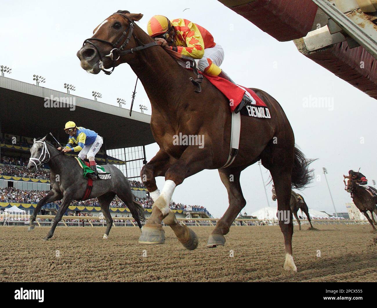 Jockey Emile Ramsammy crosses the line aboard Edenwold to win the Queen ...