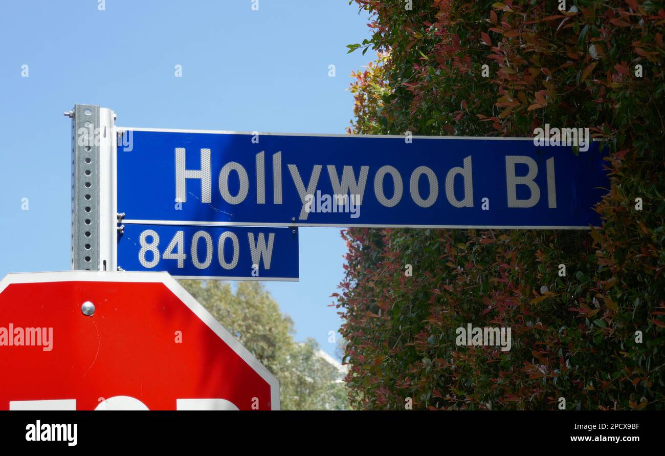 Los Angeles, California, USA 13th March 2023 A general view of ...