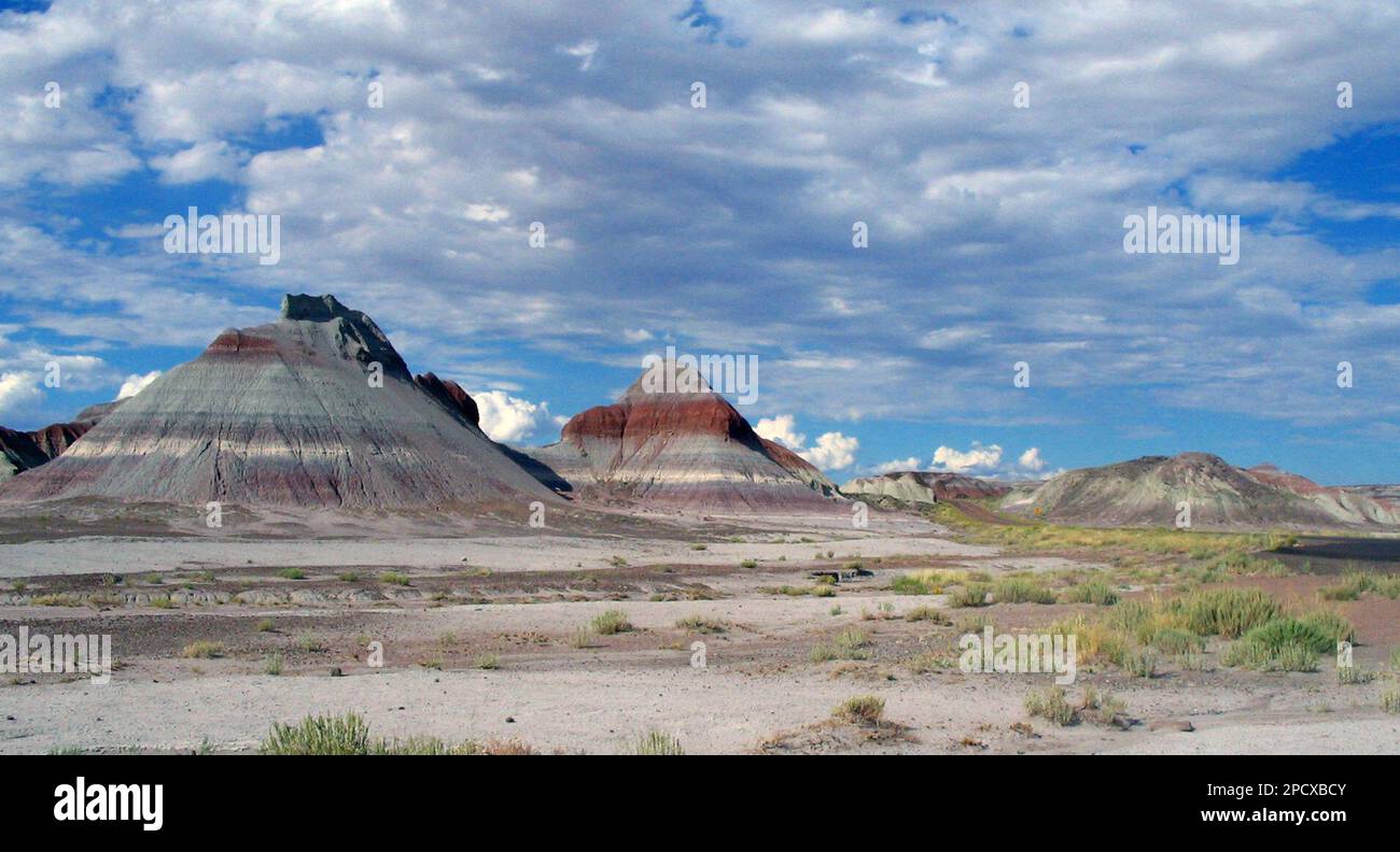 ** FOR IMMEDIATE RELEASE **This August 2005 photo shows the Painted ...