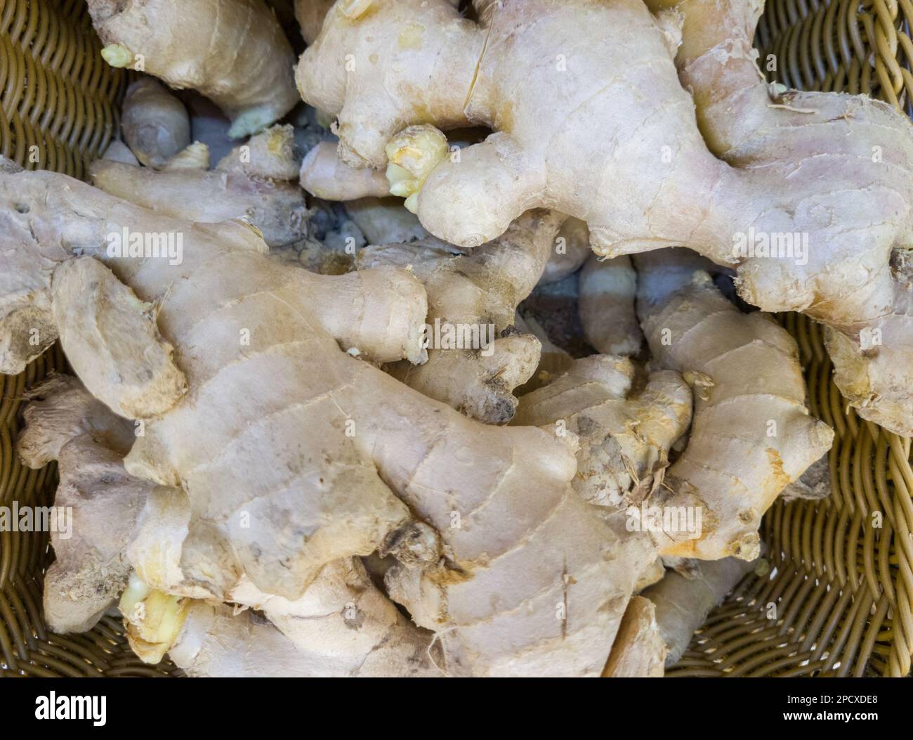 Fresh ginger roots in hi-res stock photography and images - Alamy