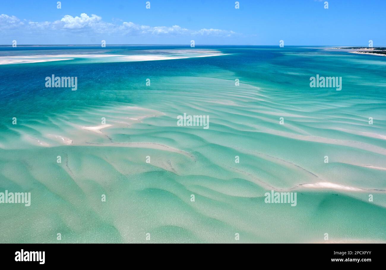 Bazaruto archipelago mozambique dugong hi-res stock photography and ...