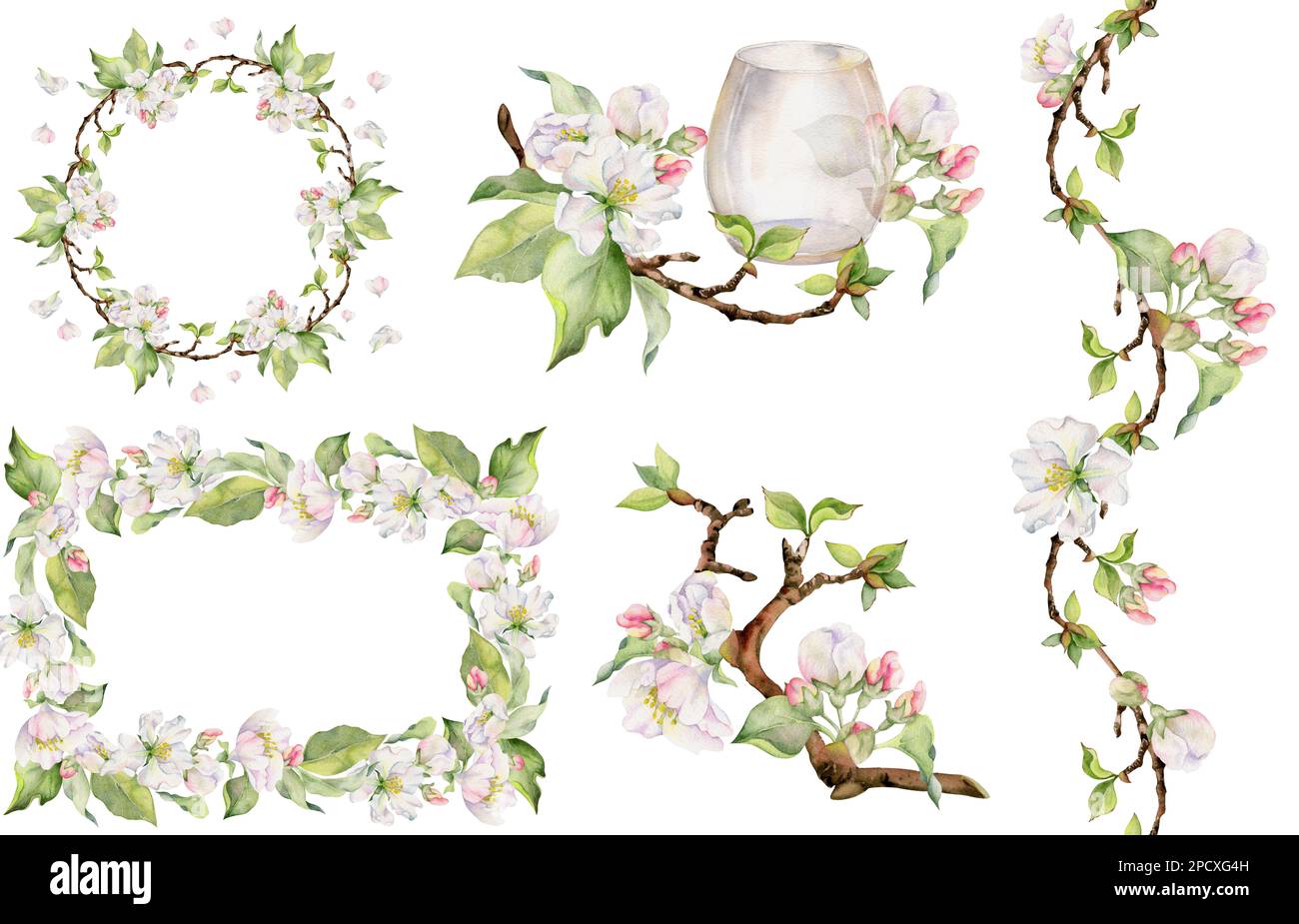 Hand drawn watercolor set with frames, wreaths and compositions. Apple ...