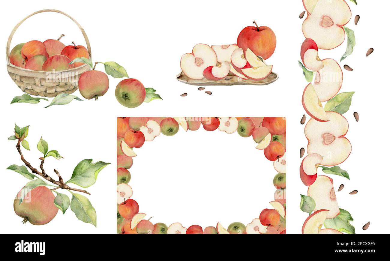 Hand drawn watercolor set with frames, wreaths and compositions. Apple ...