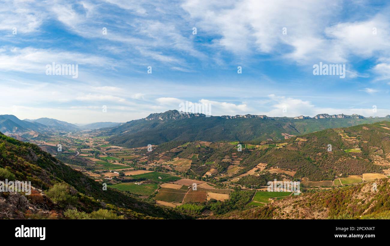 Landscape with vineyard cultivation for wine production, Sardinia, Italy. Traditional ...
