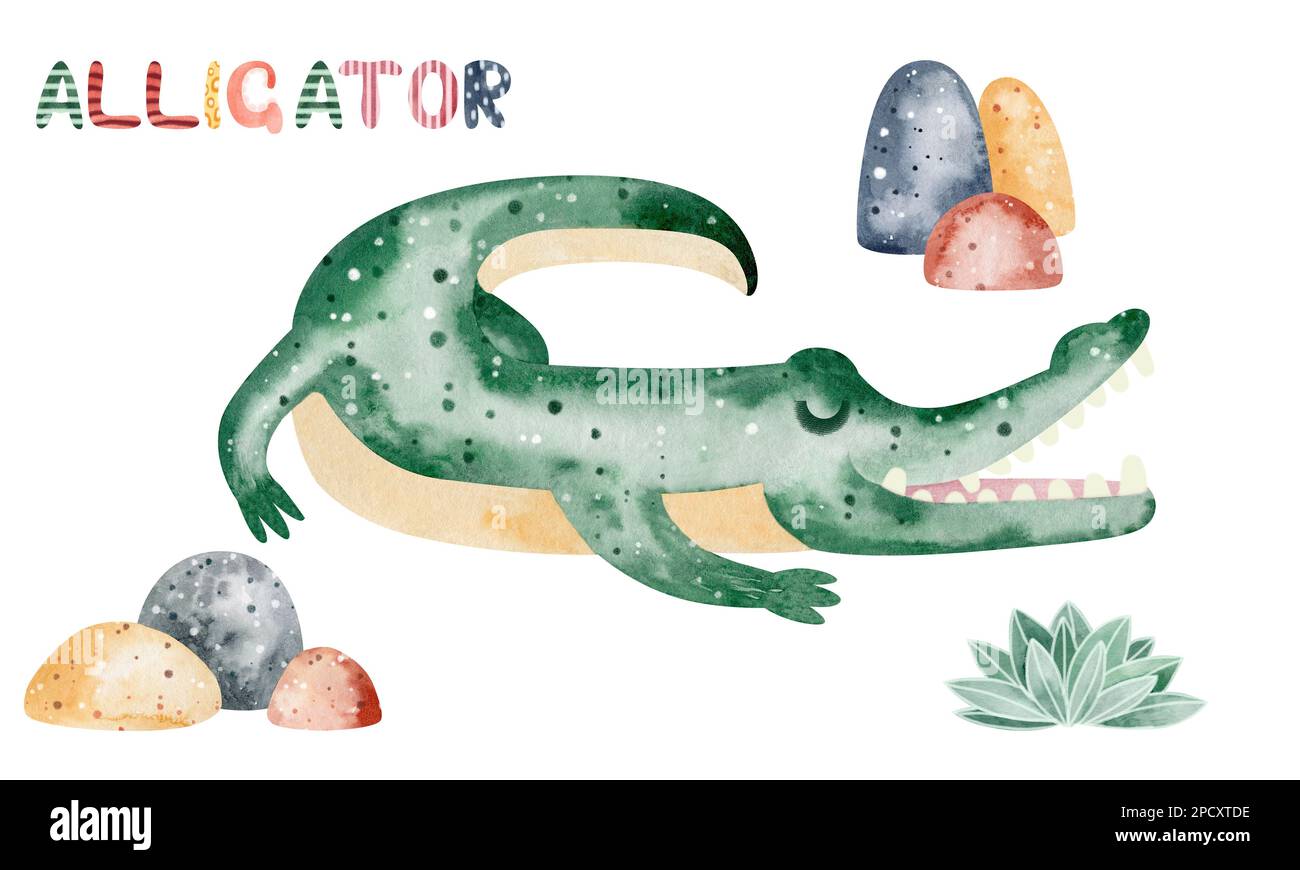 Watercolor illustration of an aligator. Children's illustration of an ...