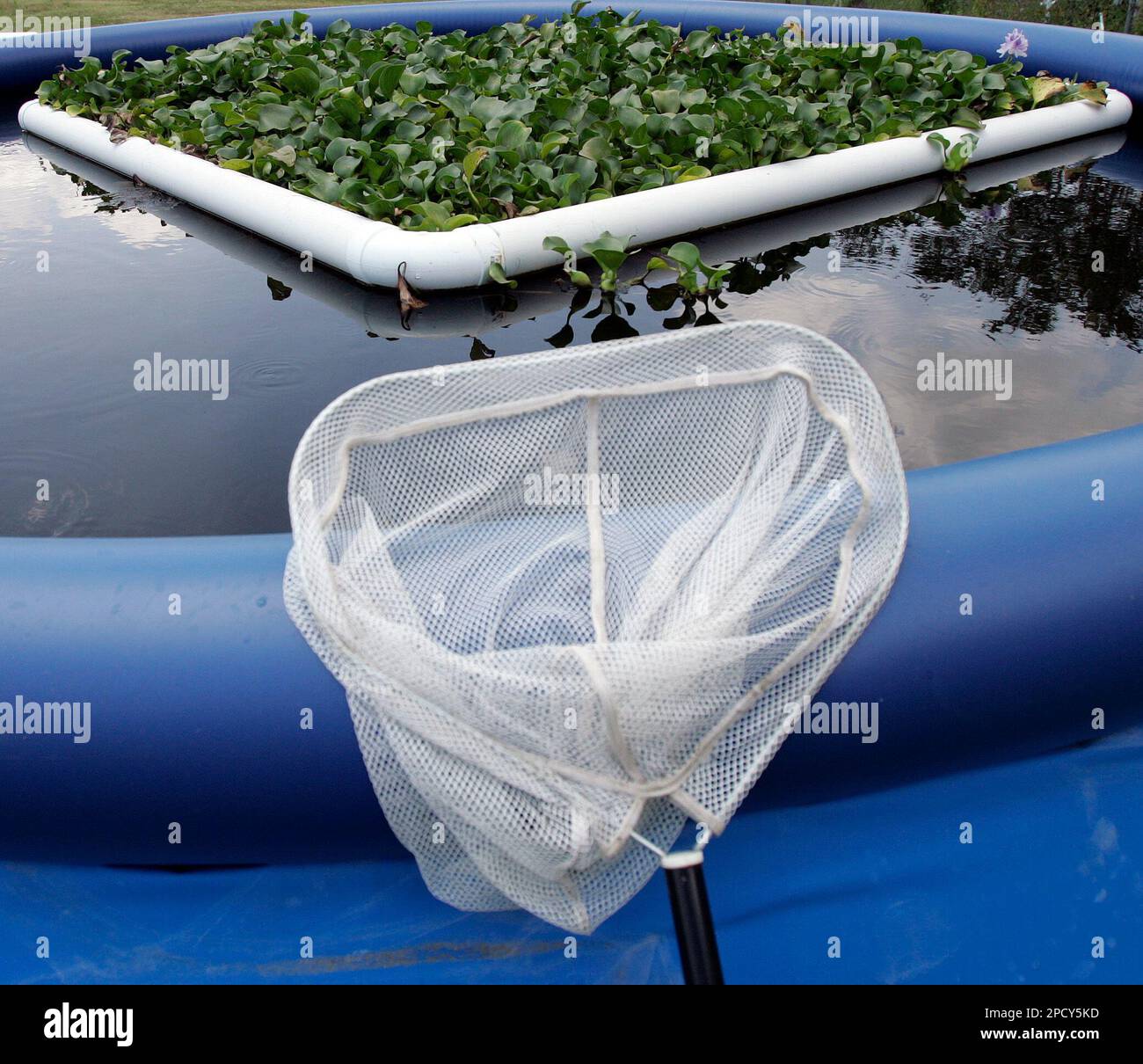 A scoop net rests on the side of an above ground pool at the New ...