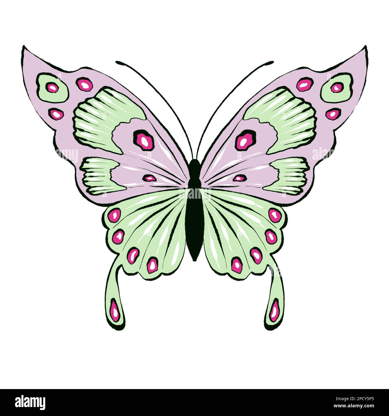 Green And Pink Butterfly Clipart