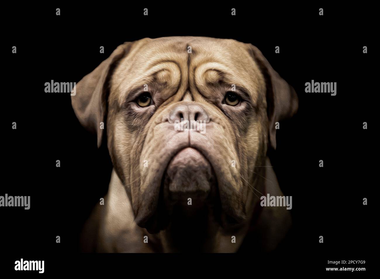 Snowy owl portrait art hi-res stock photography and images - Alamy