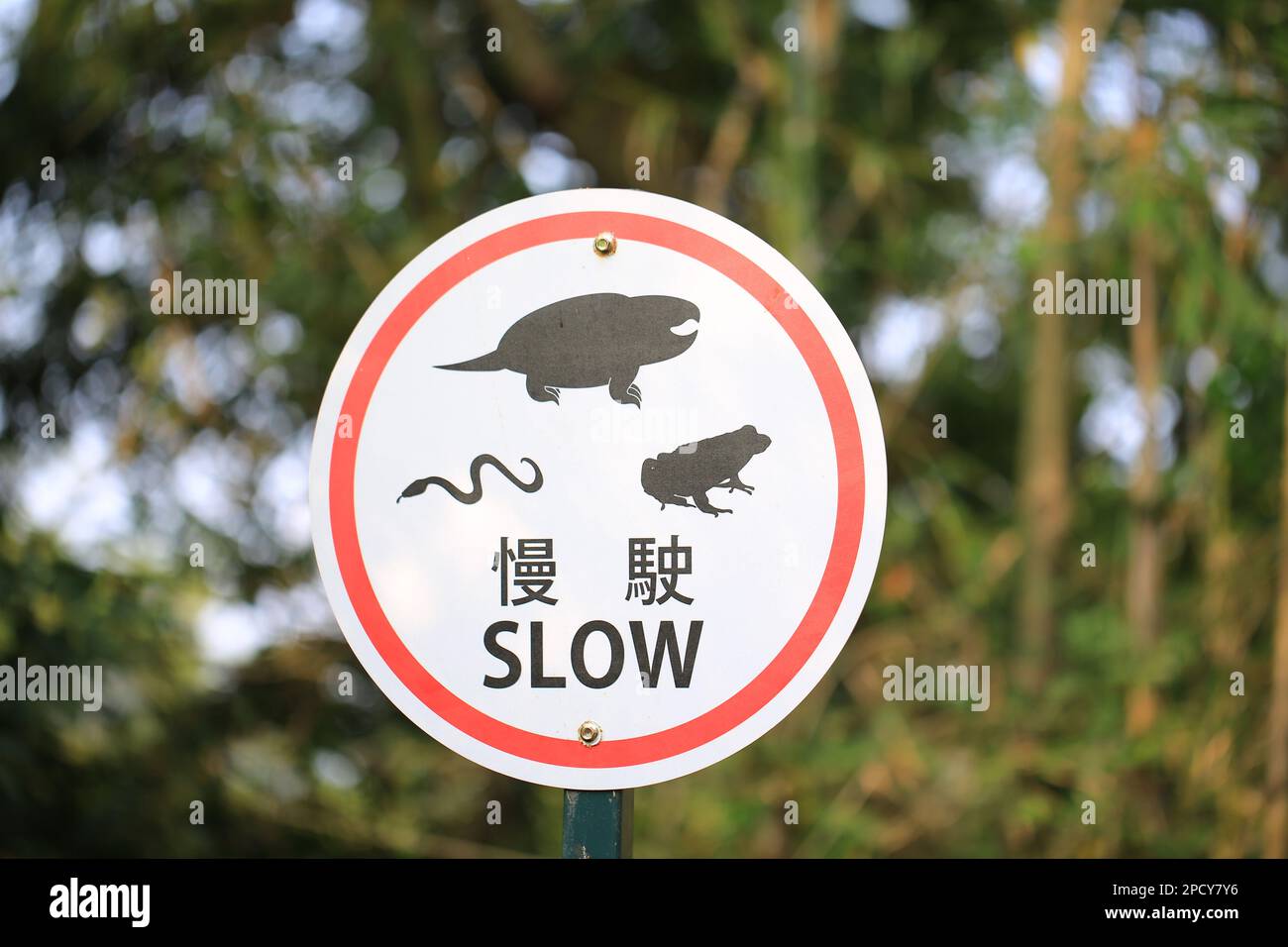 road sign show the slow signal for the animal include frog, snake and ...