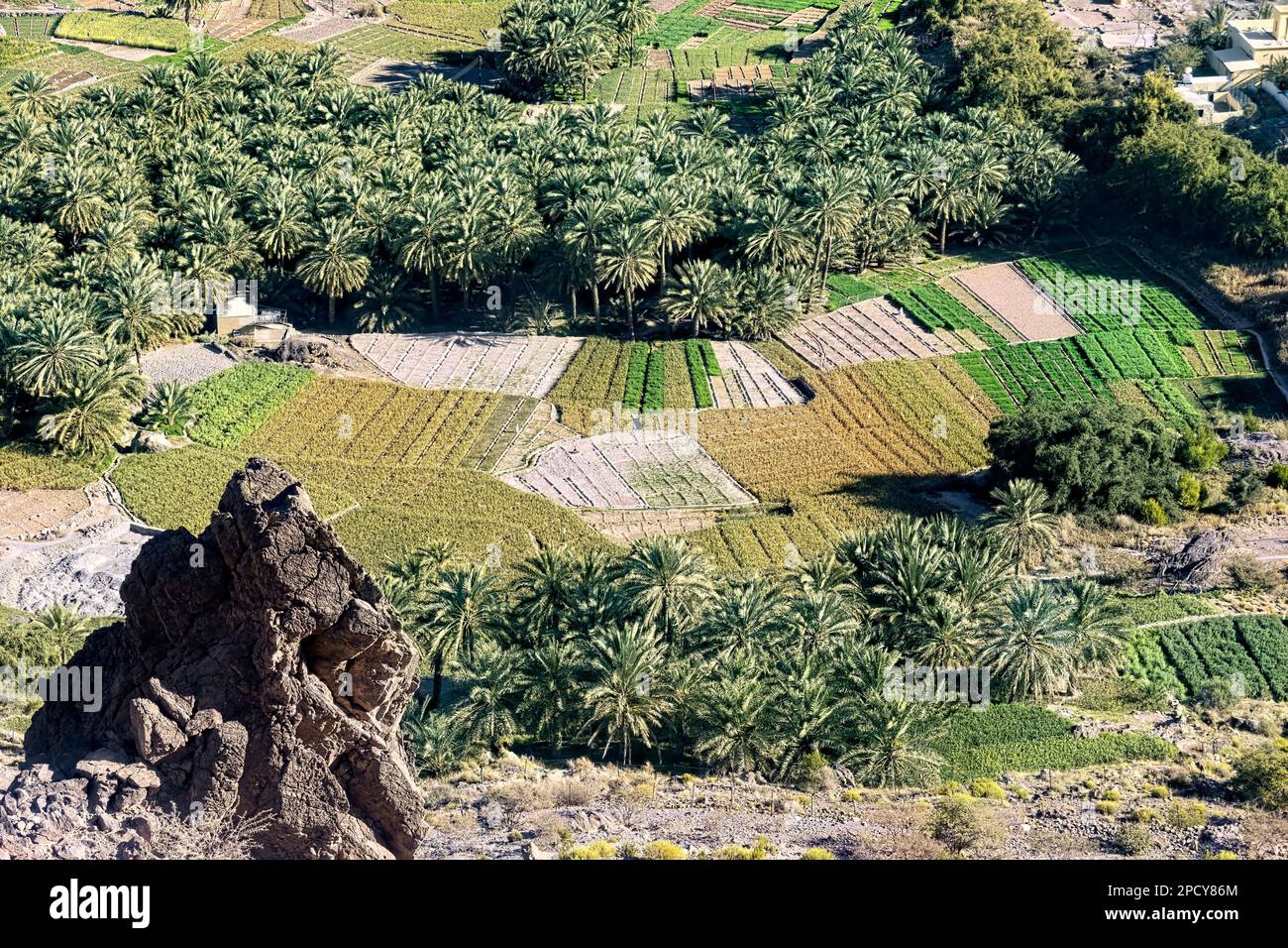 View of Hat village, Wadi Ban Auf, Western Hajar Mountains, Oman Stock ...
