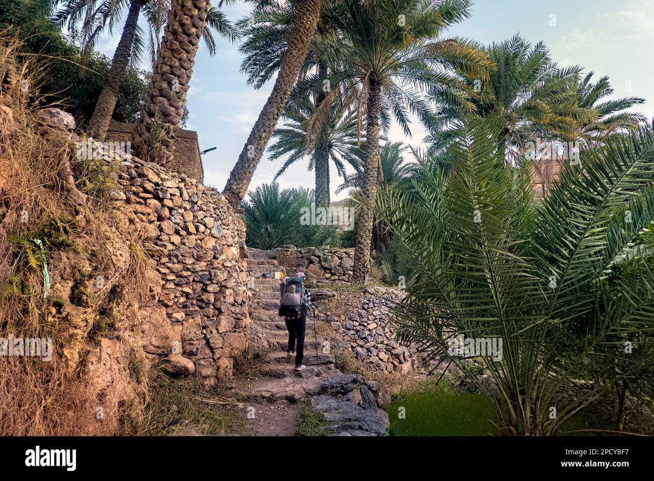 Trekking through the oasis and falaj (aflaj: the ancient Omani ...