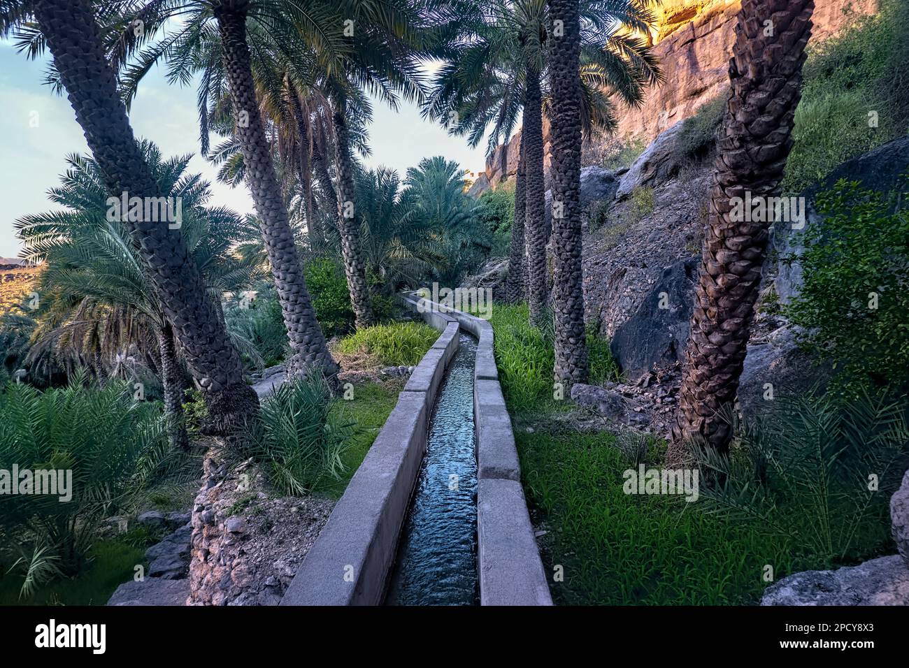 Trekking through the falaj (aflaj: the ancient Omani irrigation ...