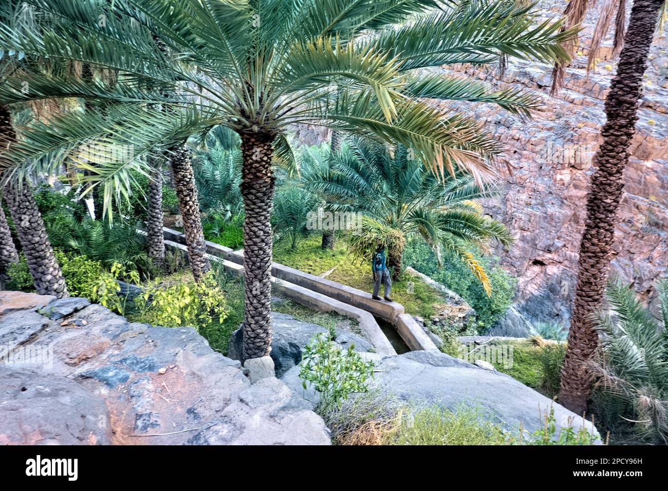 Worker on the falaj (aflaj: the ancient Omani irrigation channels ...